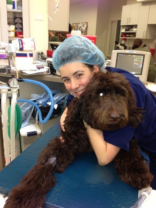 Friendship Tails Prophylactic Gastropexy